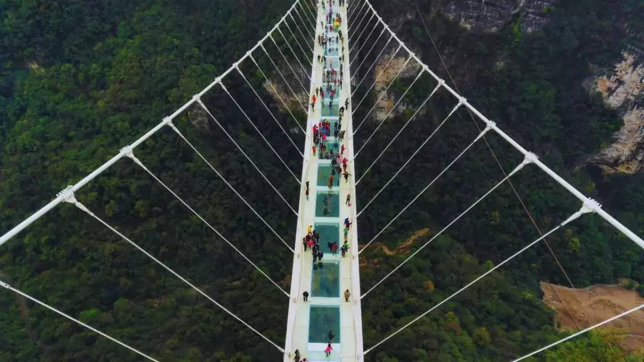 Top 10 most thrilling suspension bridges: From Peak Walk to The ...