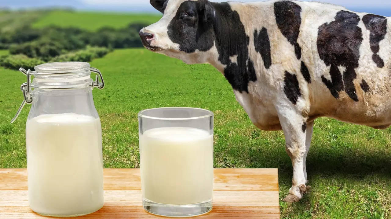Cow Milk Benefits: 7 benefits that a glass of cow milk has
