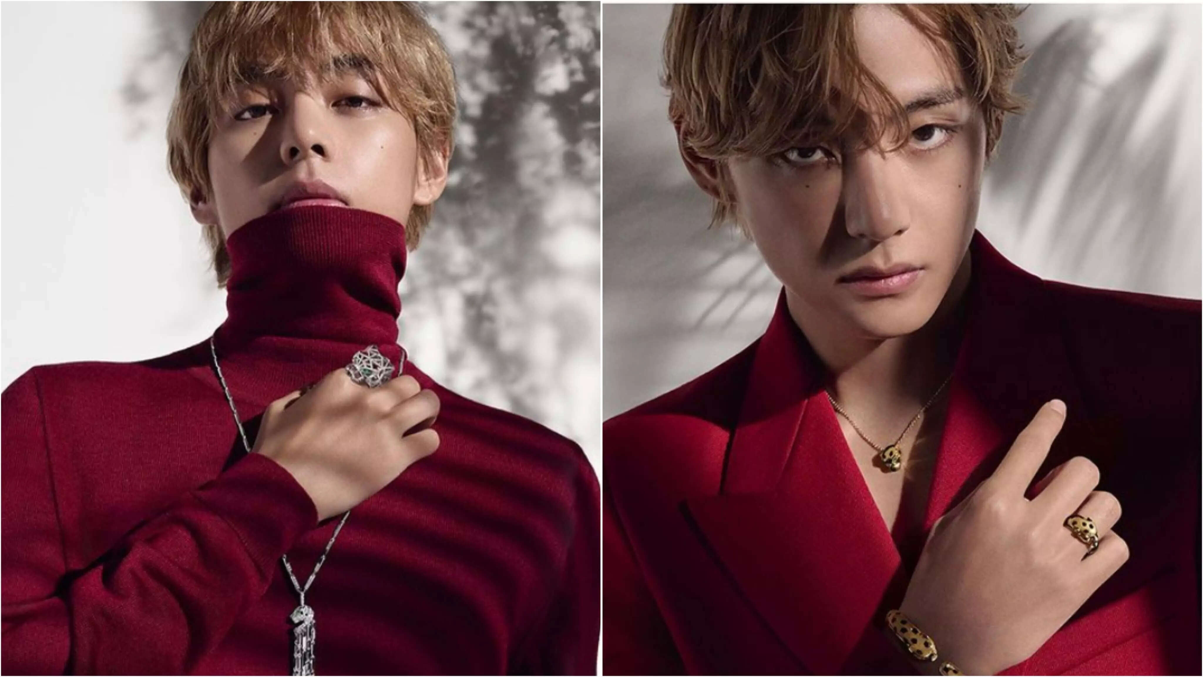 BTS star V crowned 'Most Handsome Man in the World…