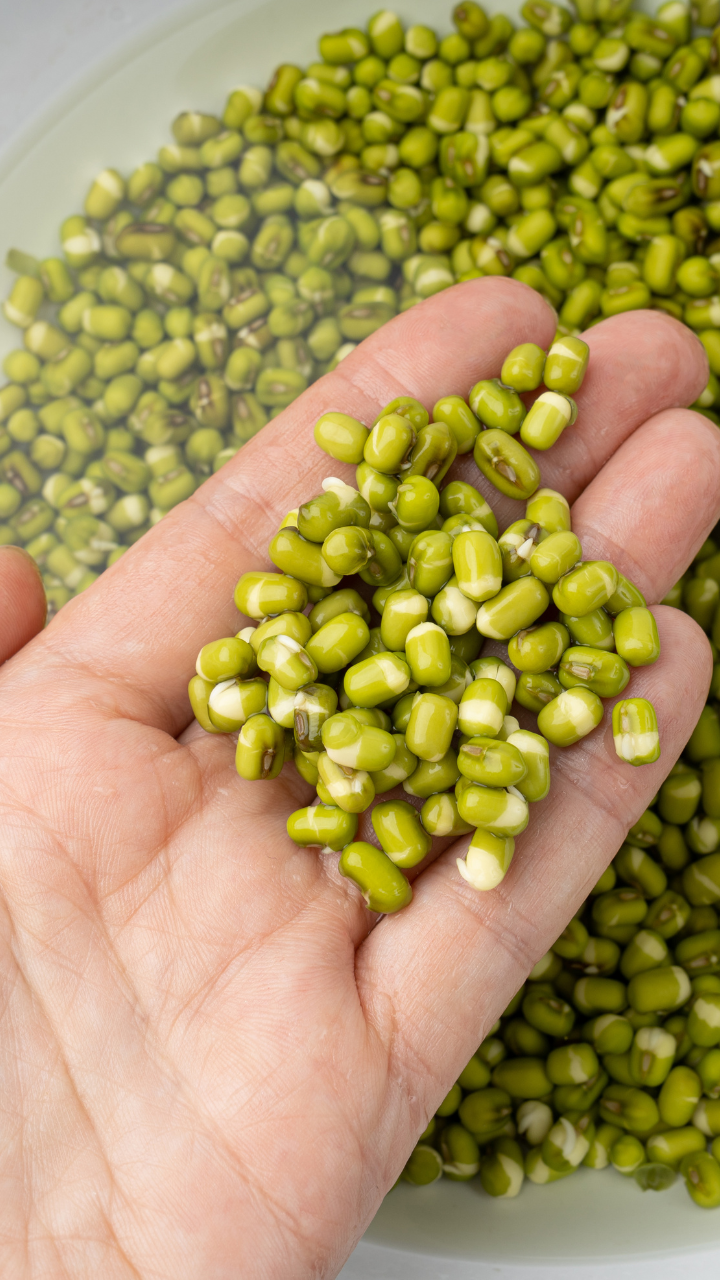 Mung Beans Health Benefits Spicy Mung Beans With Spinach Eat Simply,
