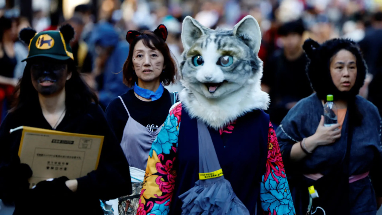 Kagurazaka Bakeneko: A dive into the realm of Japan's 'supernatural ...