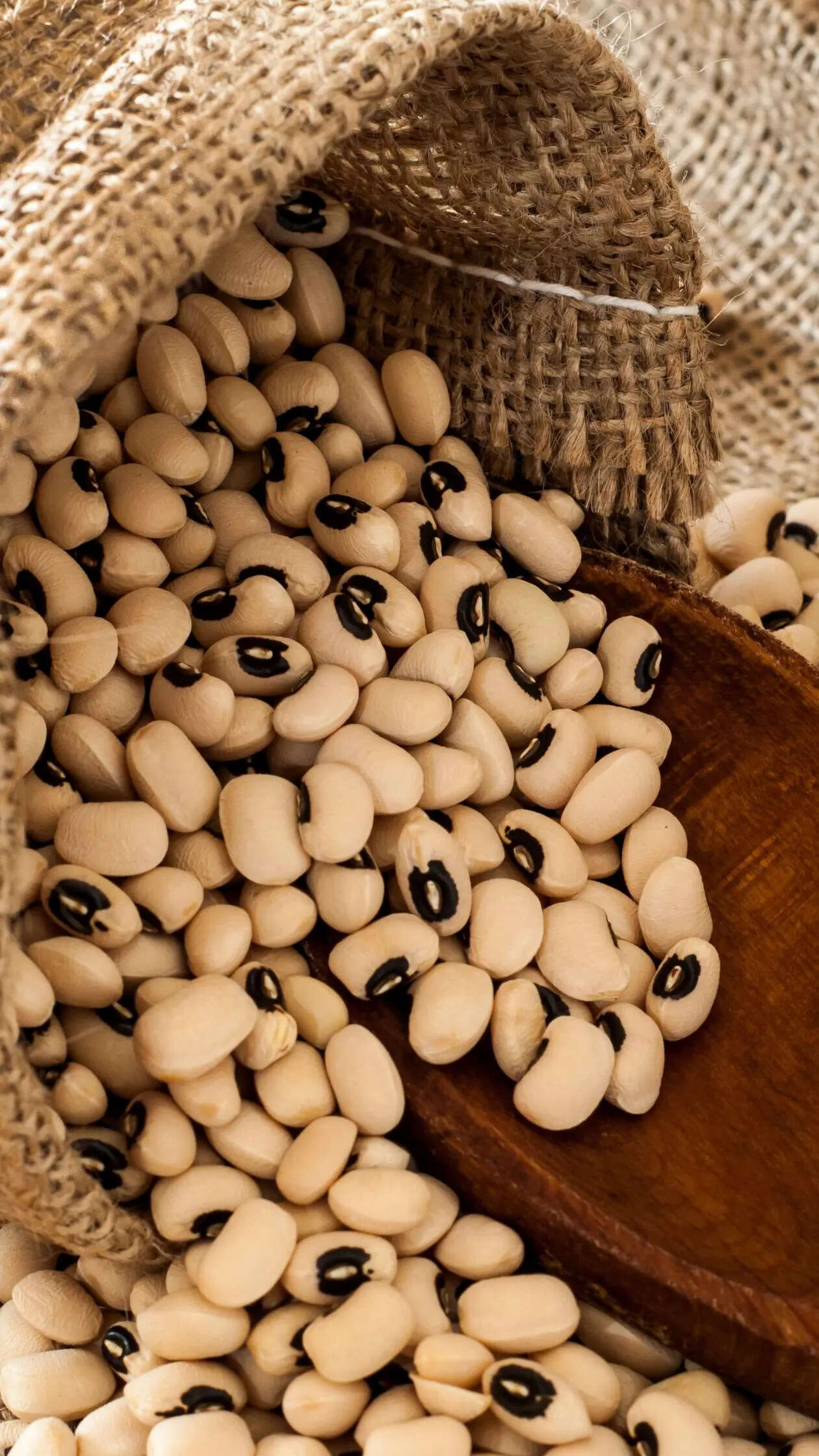 List All Types Of Beans The Ultimate List Of Rajma Varieties In Indian