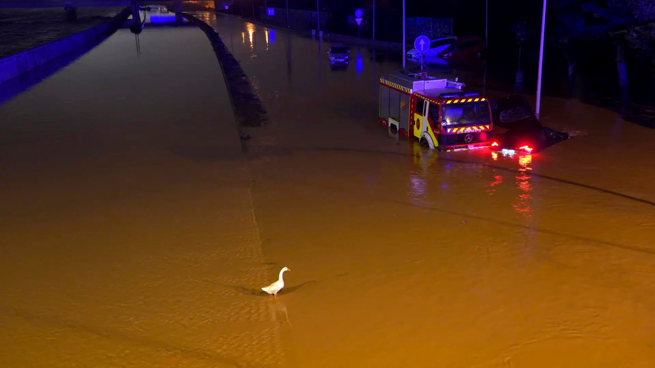 Flash floods in Spain: Cars float as Valencia roads under water