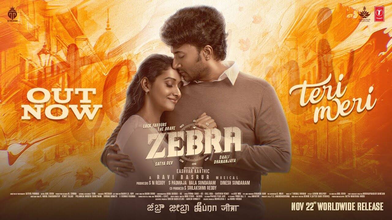 Zebra | Song - Teri Meri (Lyrical)