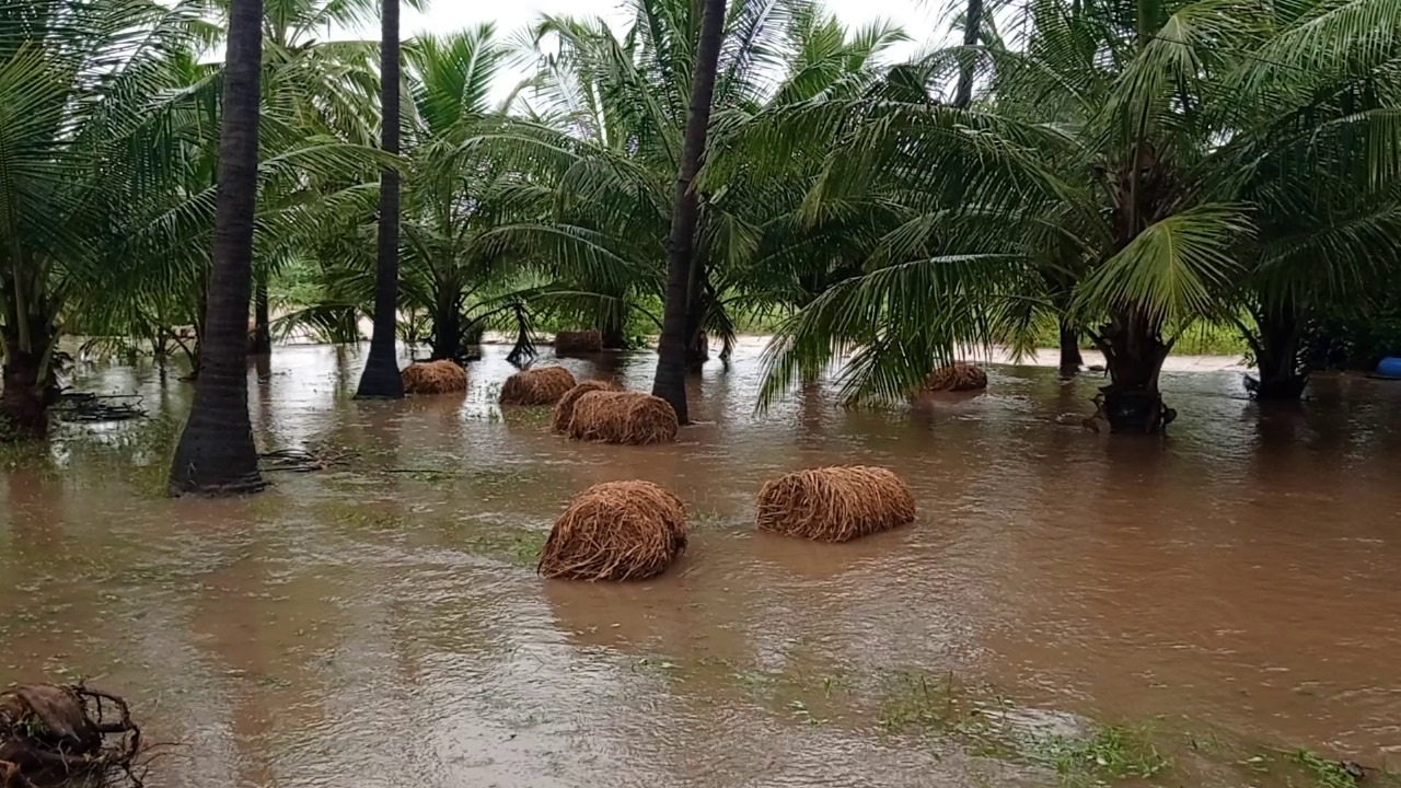Cyclone Fengal aftermath: Floods hit several parts of Tamil Nadu ...