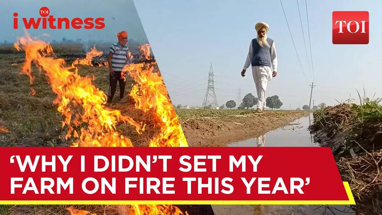 'Why I Didn't Set My Farm On Fire This Year' | Delhi pollution | I Witness