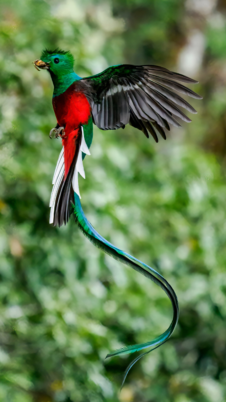 Rare Beautiful Birds 5 Rare Bird Types To Watch For In Michigan This
