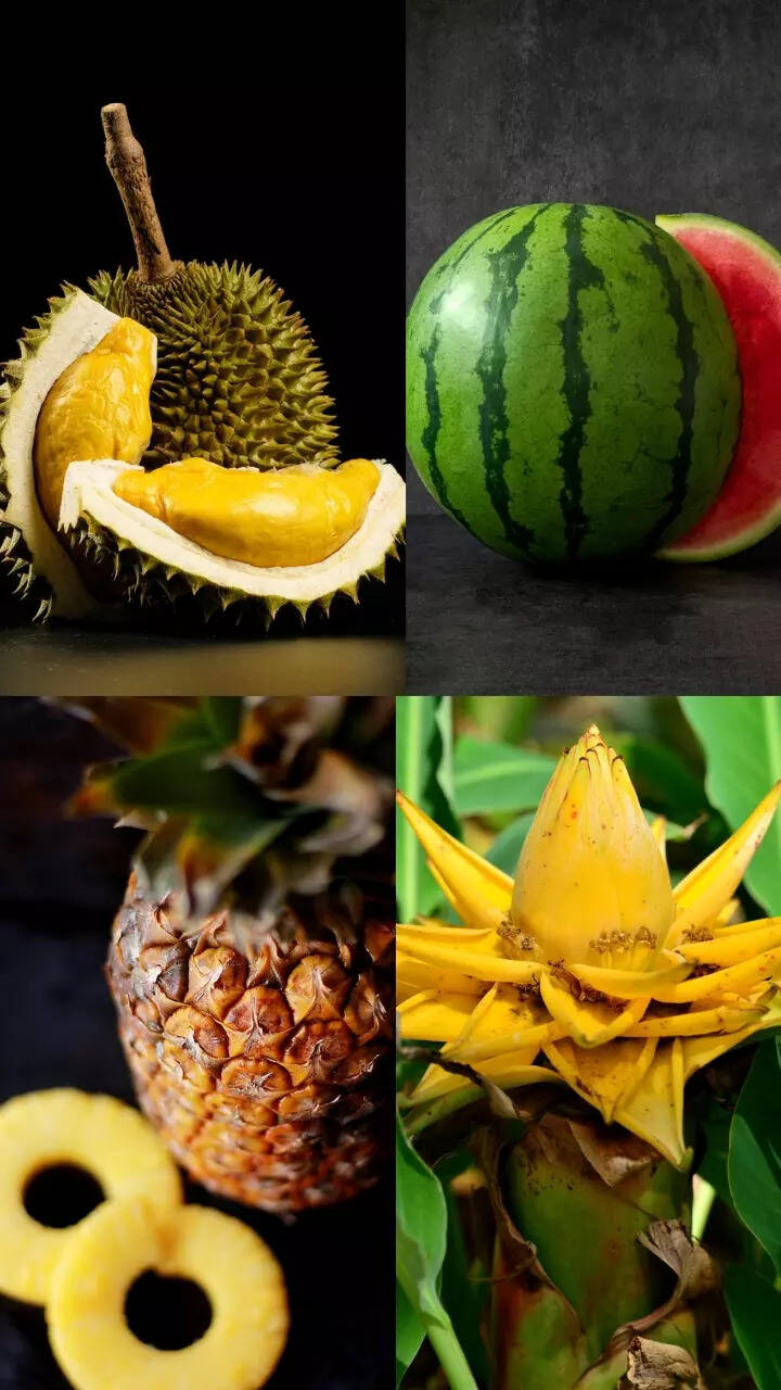 Largest Fruit In The World