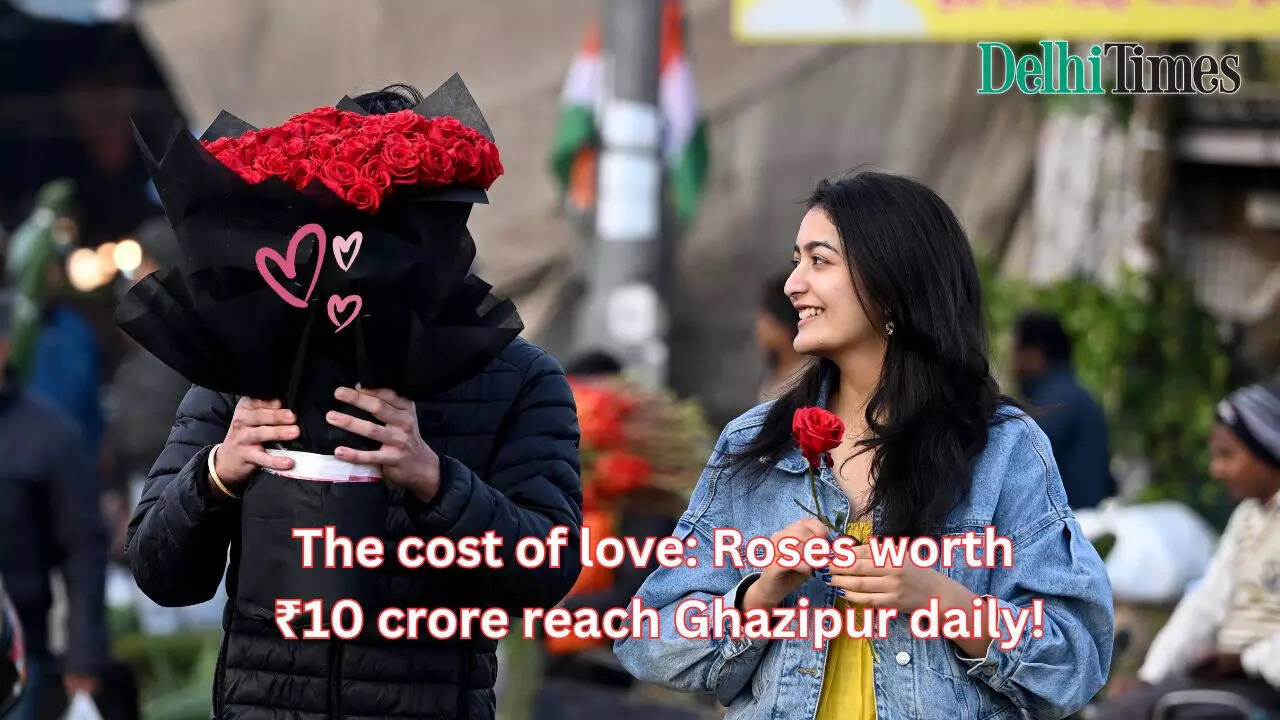 The cost of love: Roses worth ₹10 crore reach Ghazipur daily!