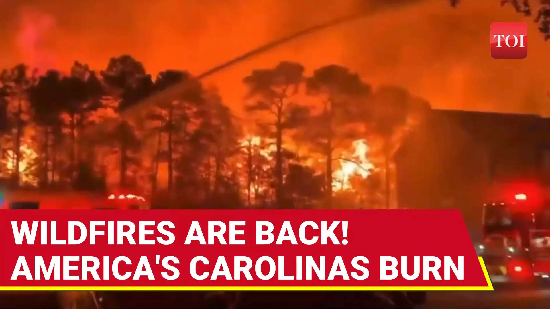 Wildfires Burn U.S. Again; Emergency Declared In North Carolina | 1,600 Acres Of Land On Fire