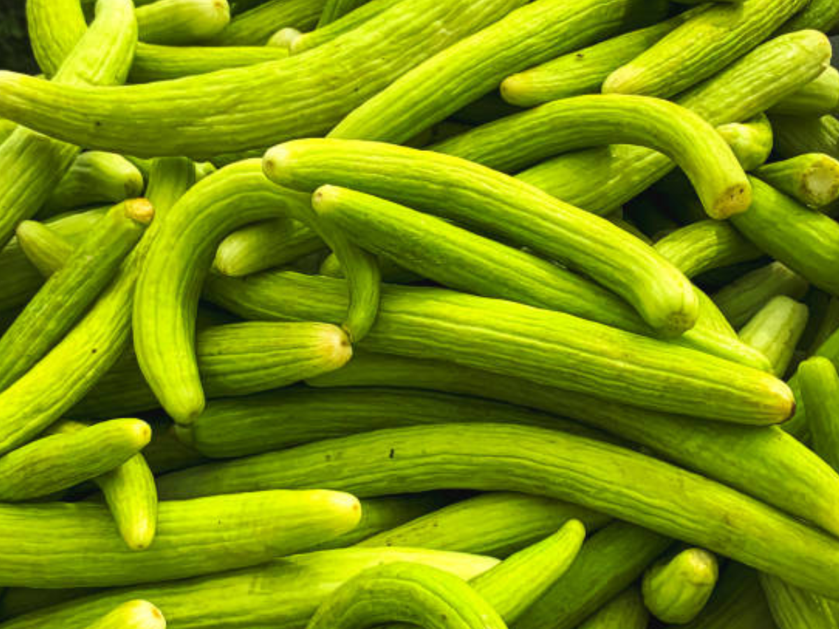 6 benefits of consuming Kakri (long melon) in summer