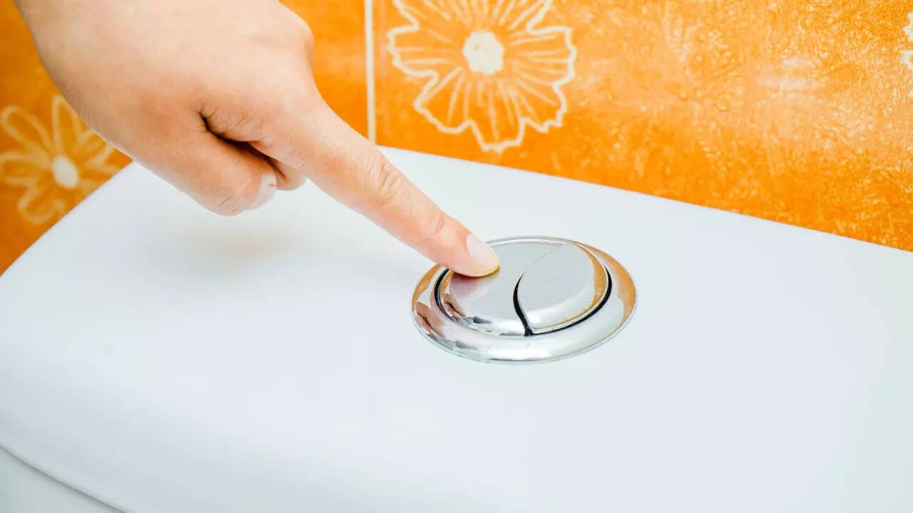 Why the toilet flush has one large and one small button