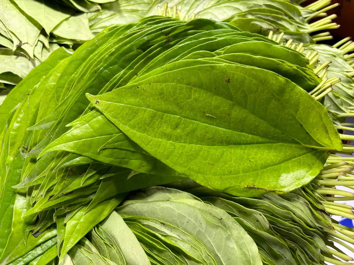 5 reasons to chew betel leaf after every meal