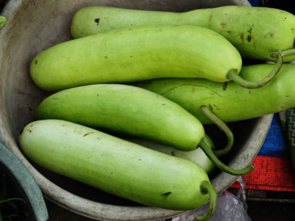 10 ways to make lauki and torai unimaginably delicious