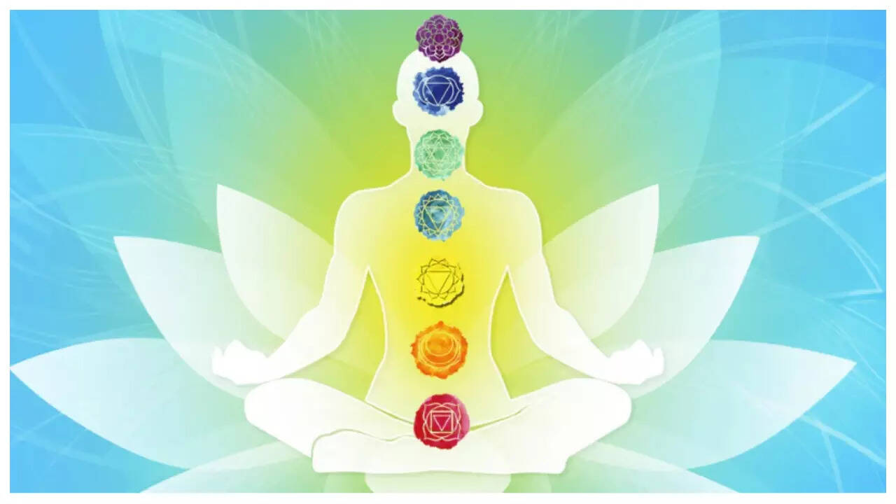 Chakras Spine And Brain The Power Of The Seven Chakras: Colour