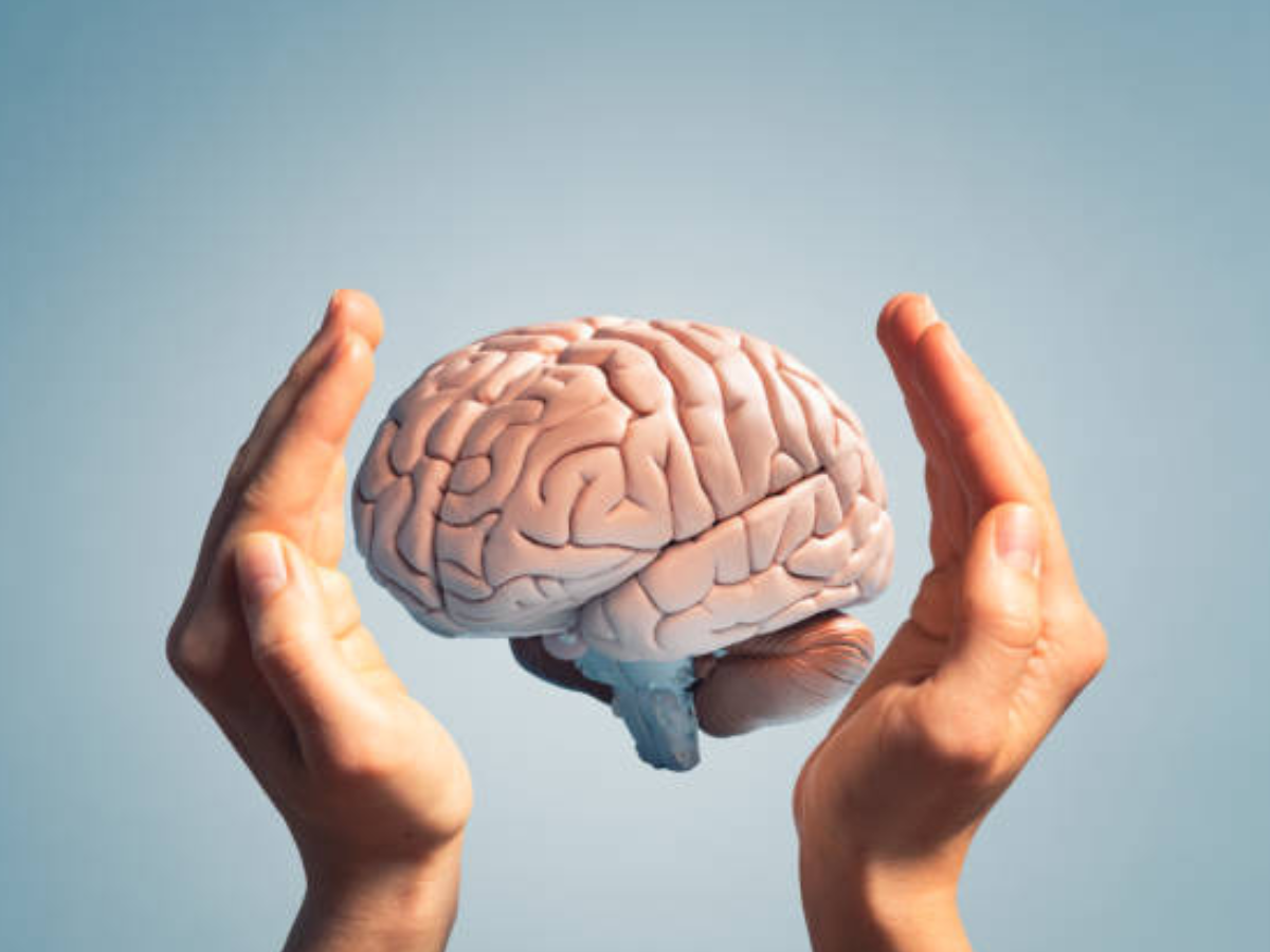 7 best foods for optimal brain function