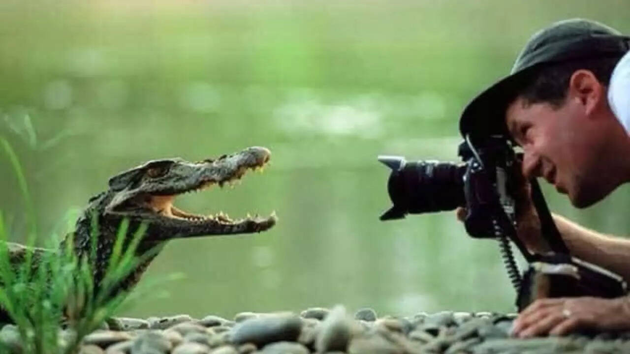 5 animals that mimic human speech and actions– Here's how