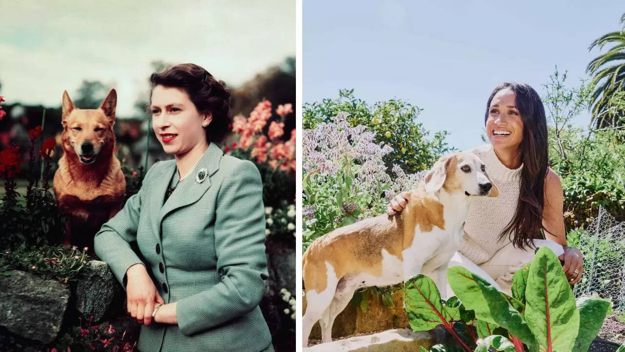 From Queen Elizabeth to Prince Harry-Meghan Markle: The UK royal family ...