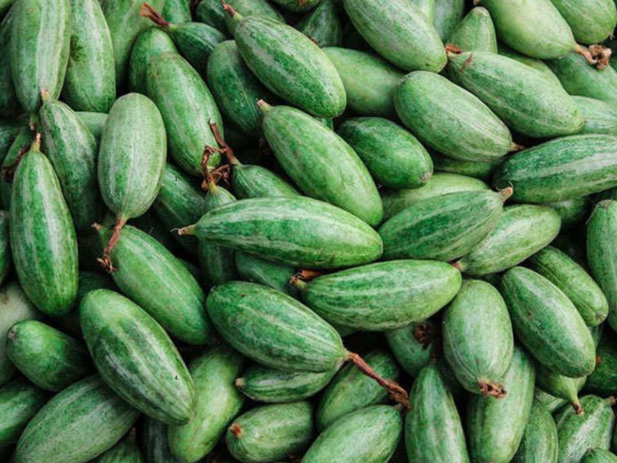 Parwal Benefits: 7 reasons why parwal is the ultimate summer vegetable