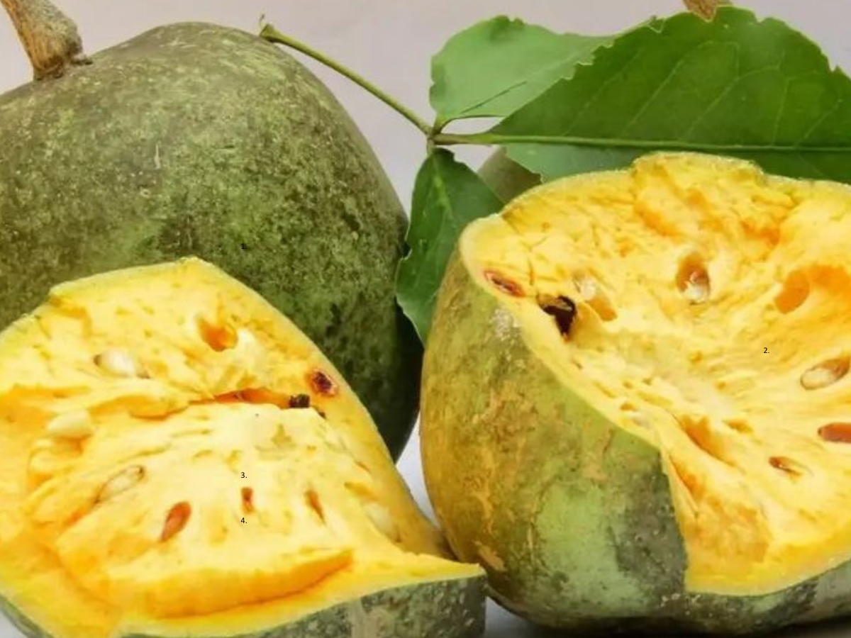 6 creative ways to use bael fruit for health benefits