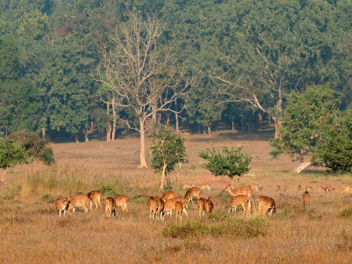8 places in Odisha that prove it’s more than just temples