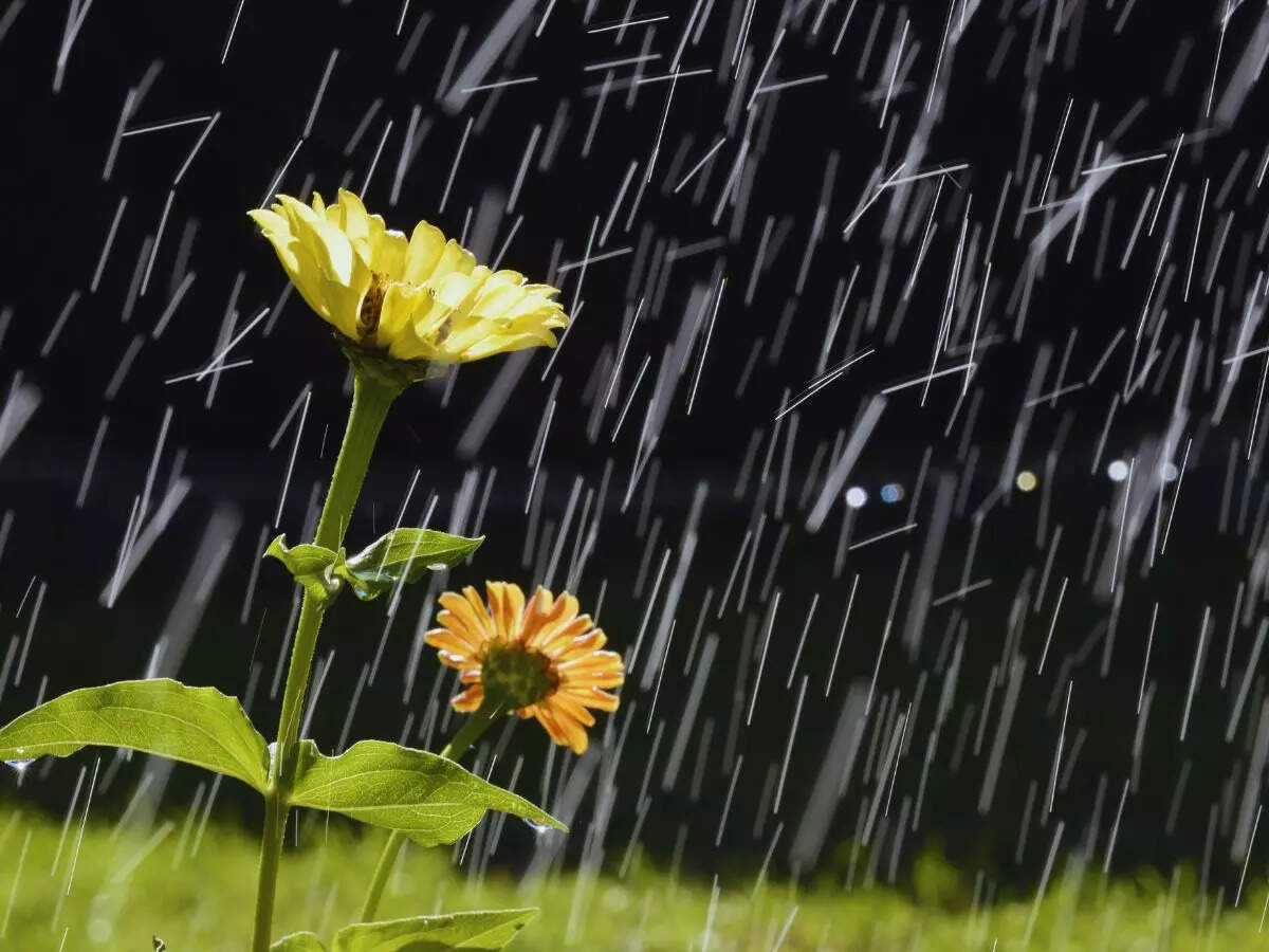 Monsoon Magic: 5 safe destinations in India to enjoy rains