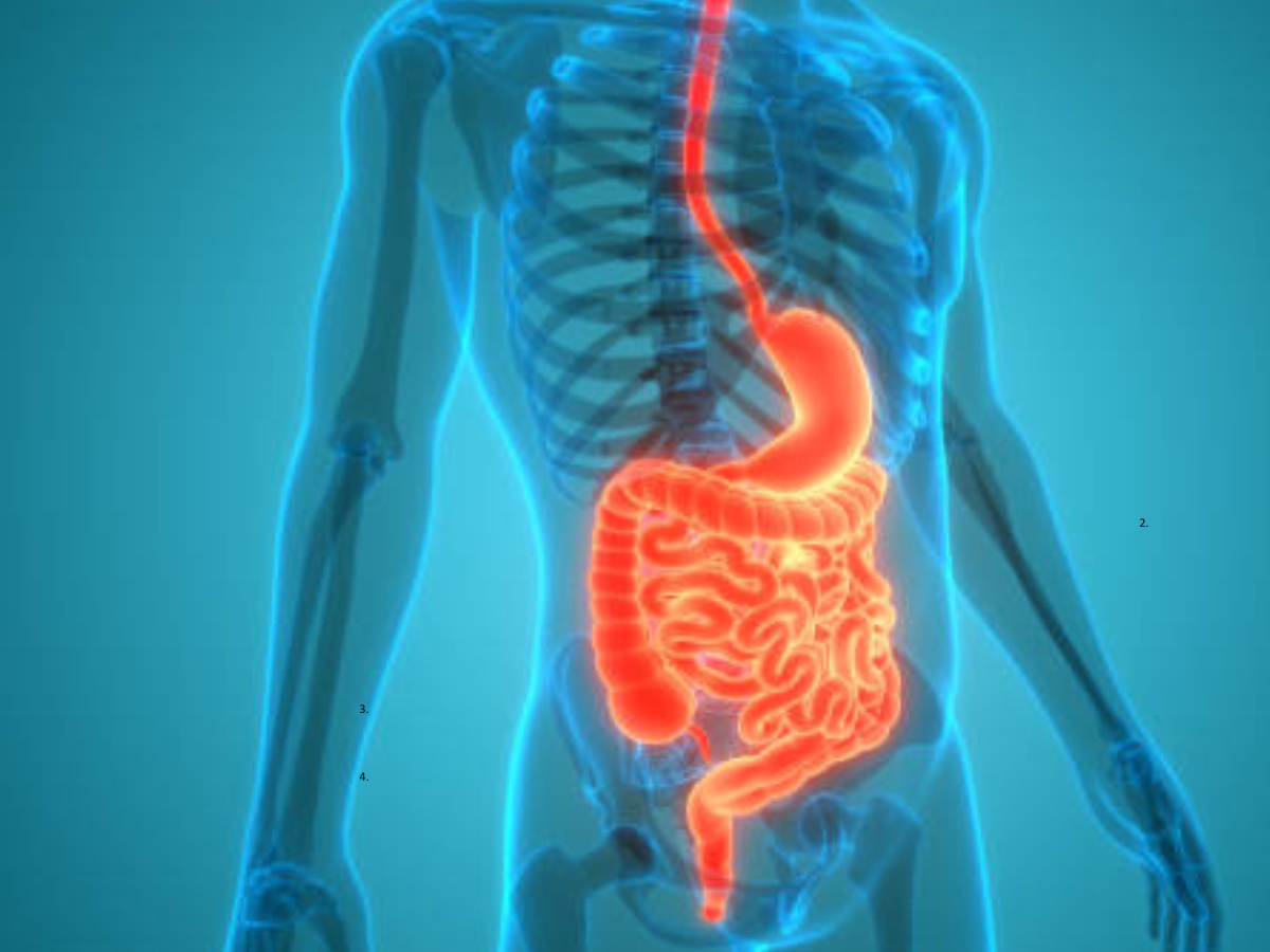 The best homemade drink to calm your stomach instantly