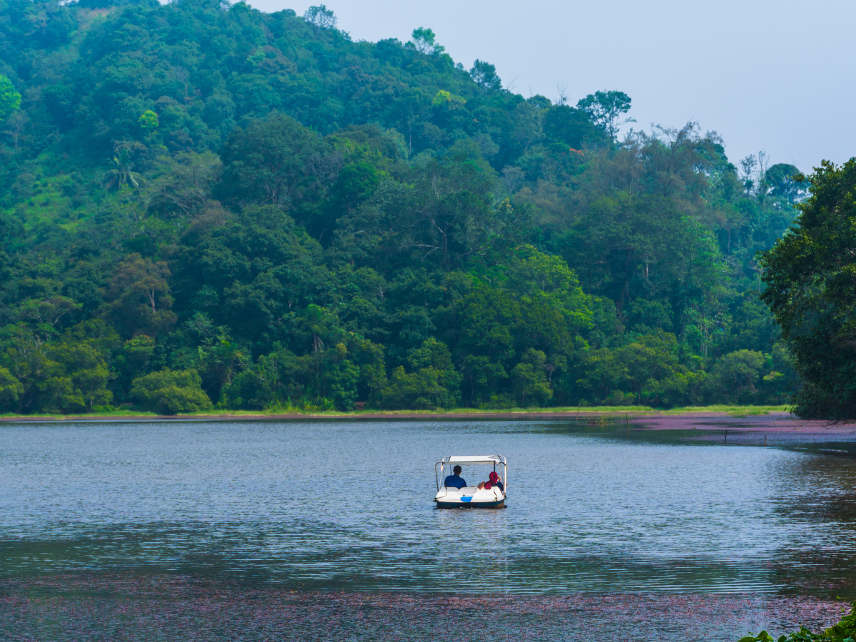 Monsoon in Kerala: Backwaters, Wayanad Trails & Ayurvedic Escapes