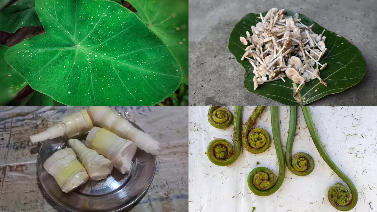 8 vegetables from across India that make monsoon so special