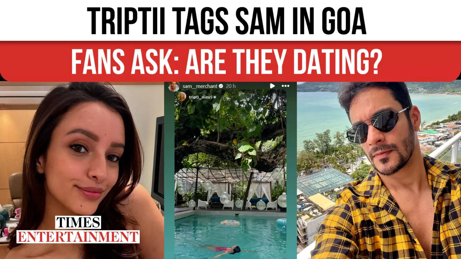 Are Triptii Dimri and Sam Merchant Official Now? Fans Think So After ...