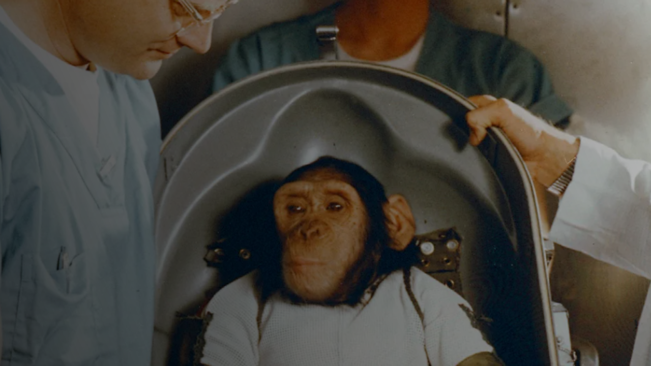 6 animals sent to space in the past and why