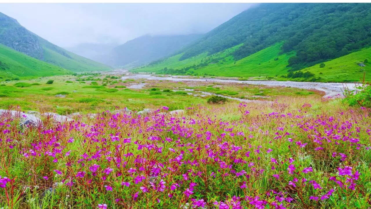 From Valley of Flowers to Parvati Valley; 5 magical valleys in India ...