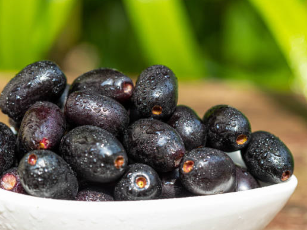 Jamun Benefits: 7 benefits of Jamun that make it one of the most potent ...