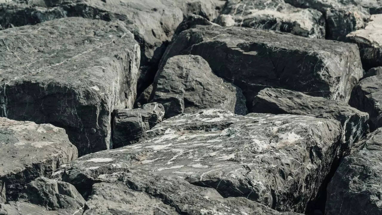 The 3 Main Types of Rocks That Shape Our World