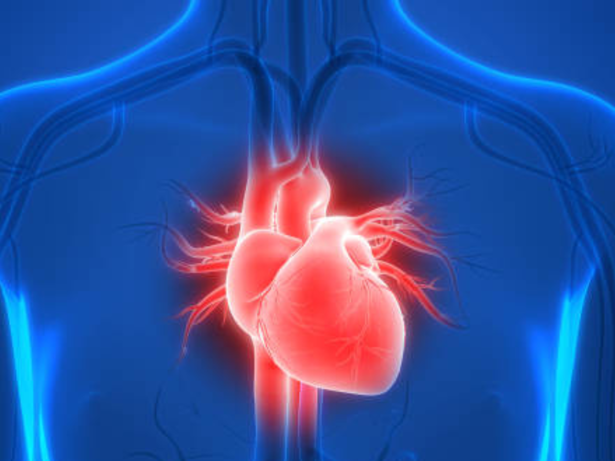 Heart Health: 5 red superfoods that can protect the heart and how to ...