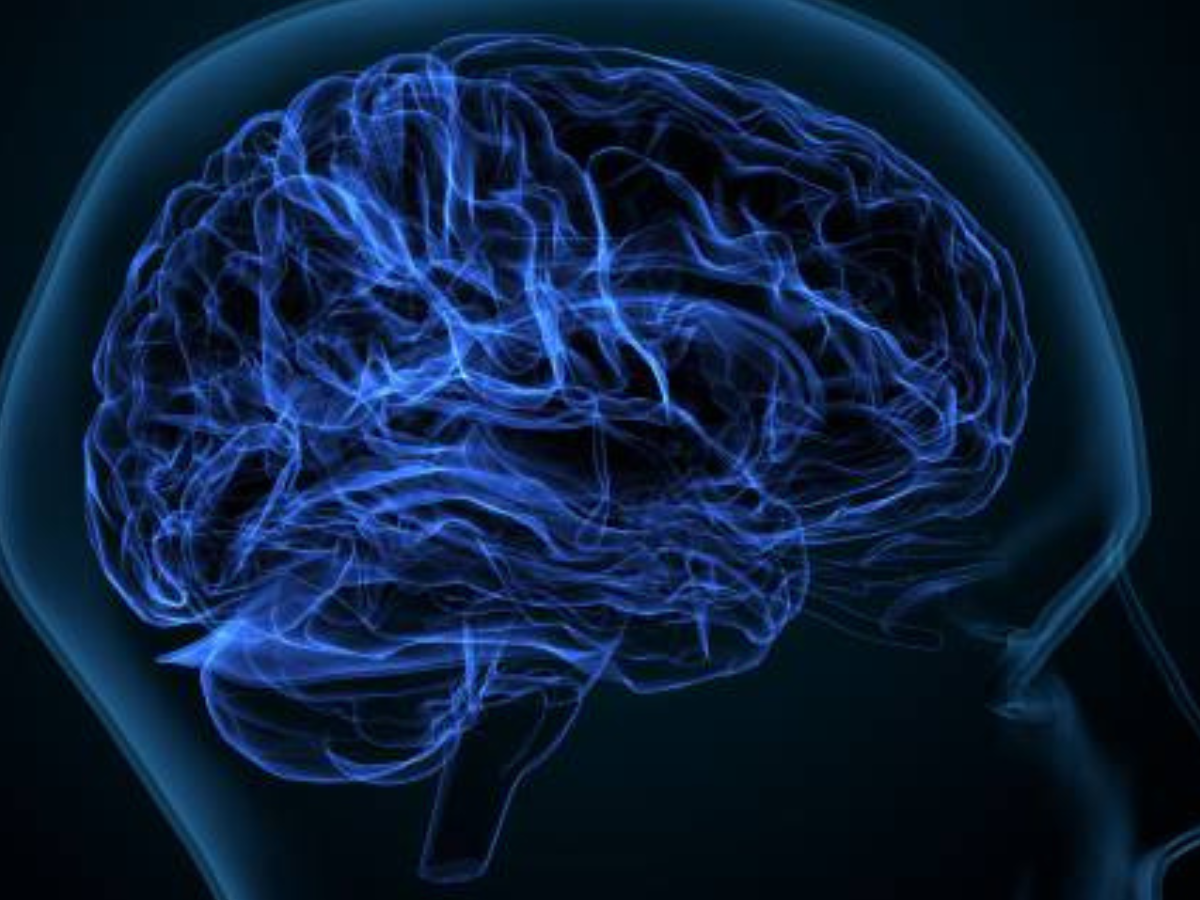 Study finds 4 best nuts for brain health and 5 easy snack recipes to ...