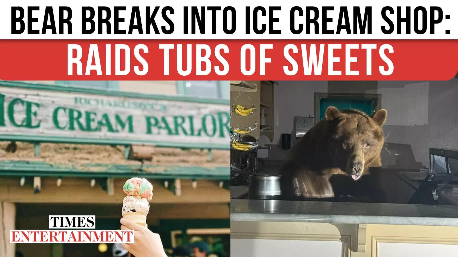 Caught on Camera: Hungry Bear Breaks Into Ice Cream Parlor and Leaves ...