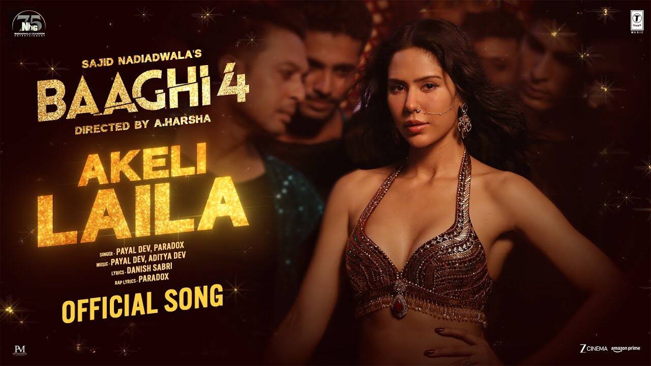 Baaghi 4 | Song - Akeli Laila