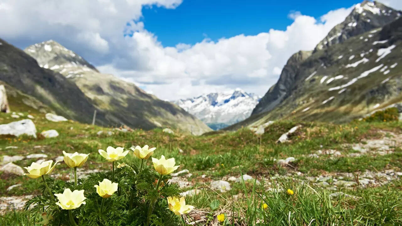 5 best trekking trails India for every explorer