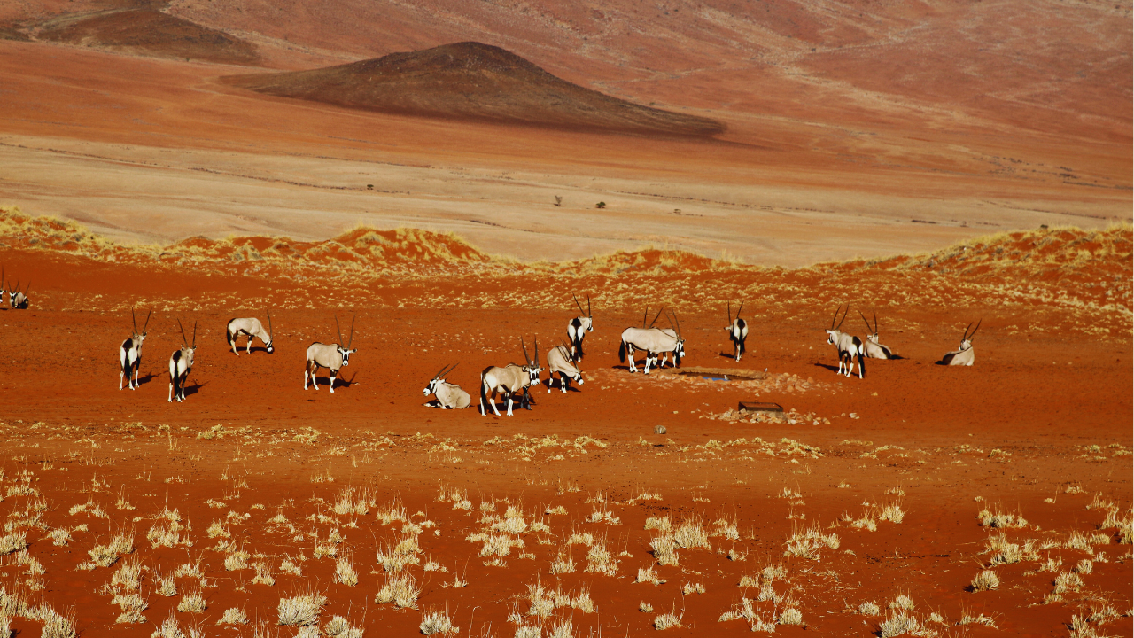 5 world’s most beautiful deserts that aren’t the Sahara