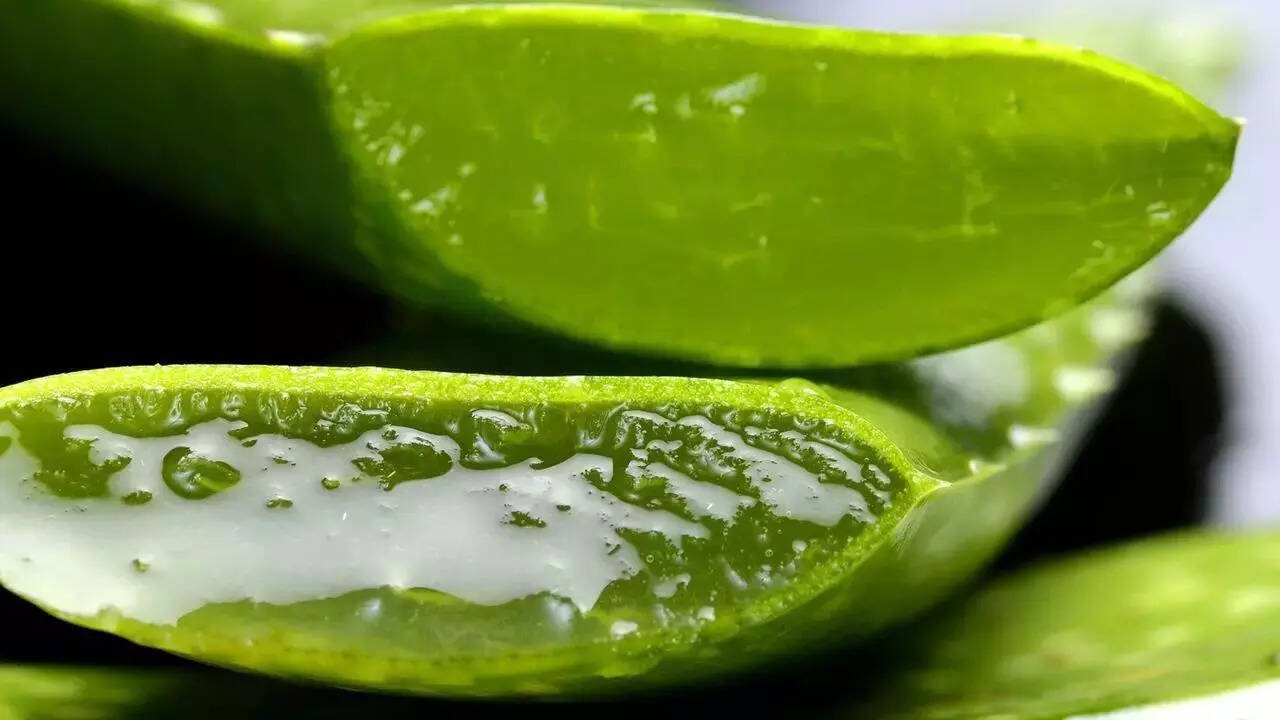 Aloe Vera Side Effects: 5 side effects of using Aloe Vera on skin