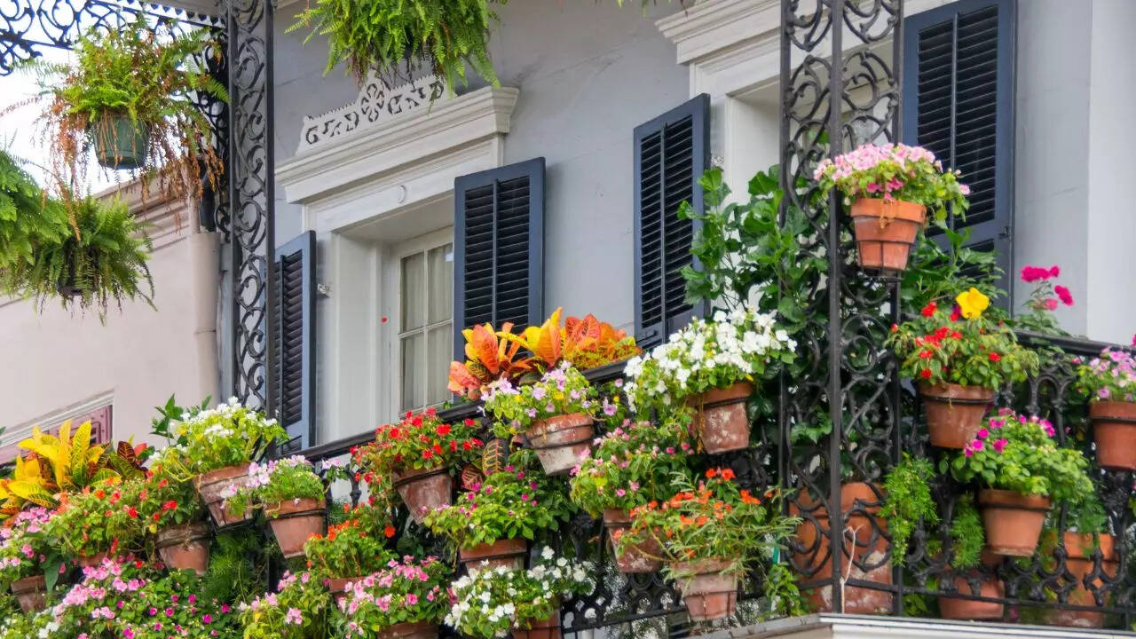 Plants do not grow well in the balcony? 3 hacks to fix this