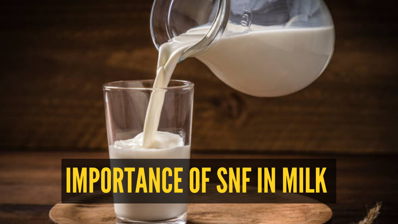Why checking SNF percentage in milk packets is extremely important, and ...