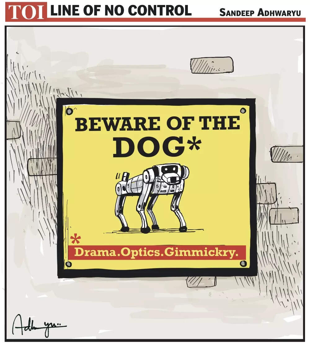 Beware of the dog