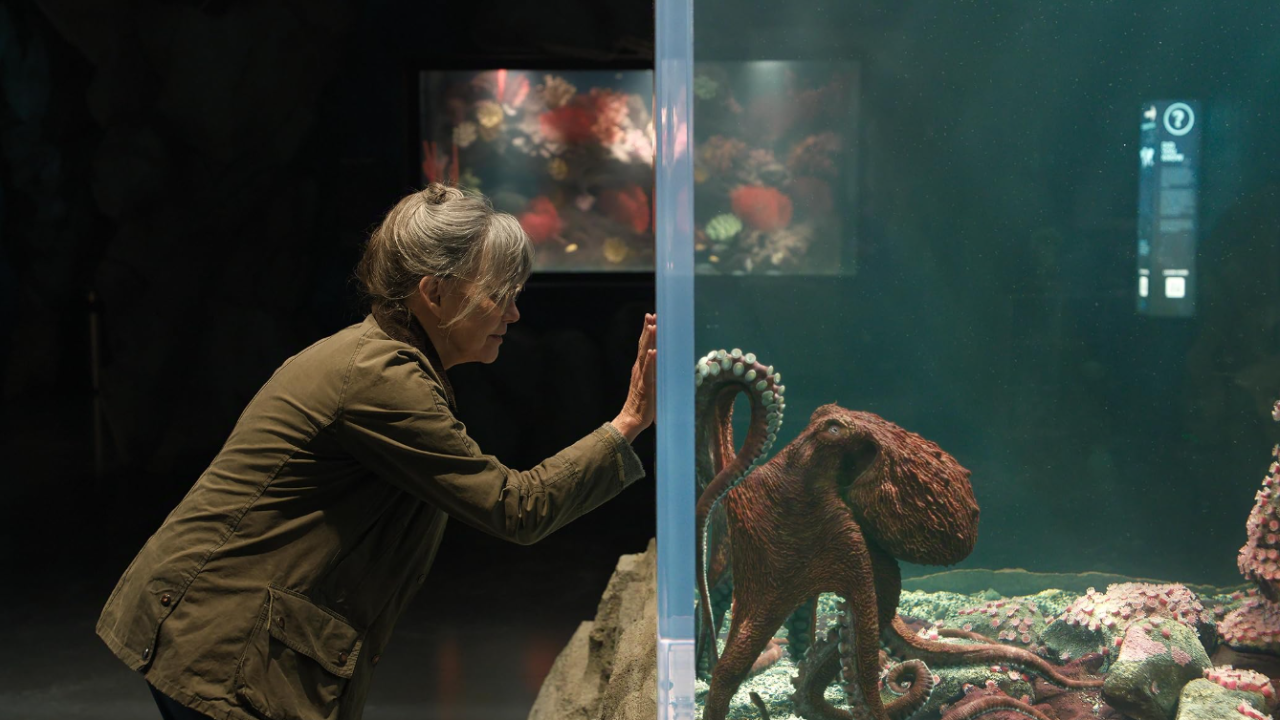 Remarkably Bright Creatures Movie 2026 | Review, Cast, Trailer, Posters ...