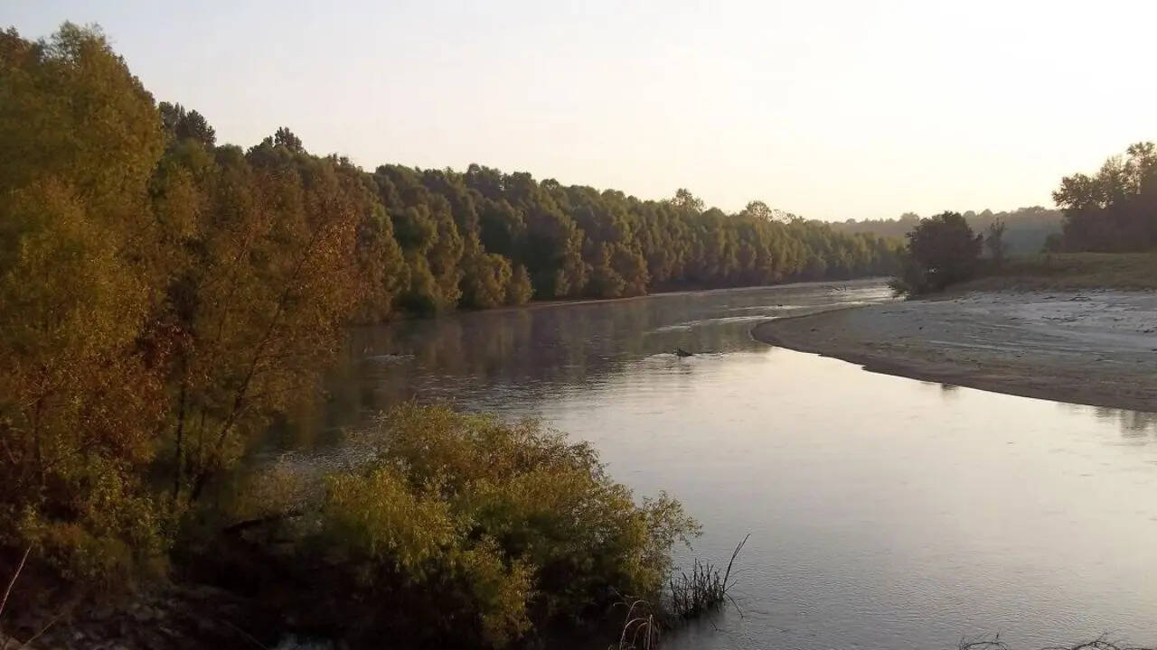 6 alligator-infested rivers in the US: From the St.…