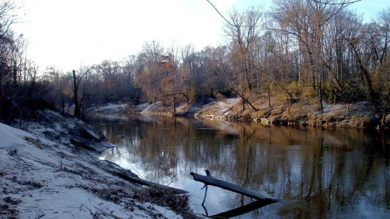 6 alligator-infested rivers in the US: From the St.…