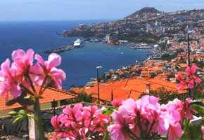 A tour to the 'magical' Madeira Island