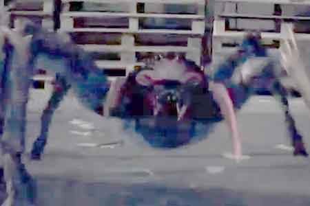 Spiders 3D: Trailer