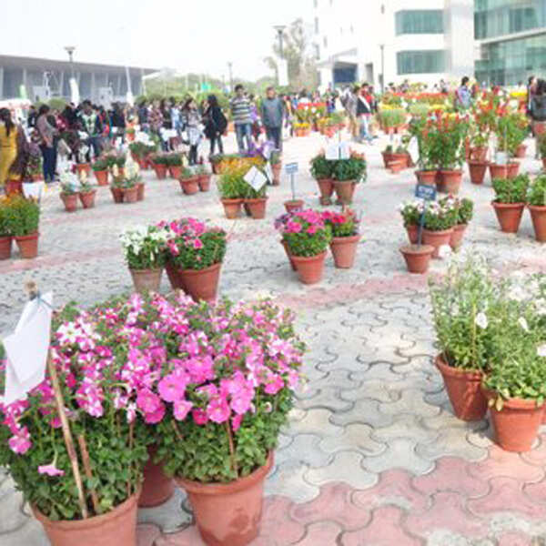 Flower show at Delhi University's 55th annual cultural fest, called ...